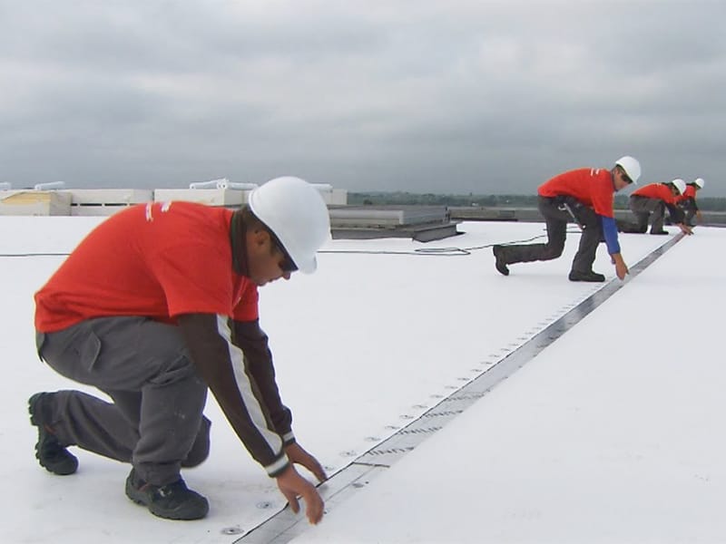 TPO | Standard Roofing
